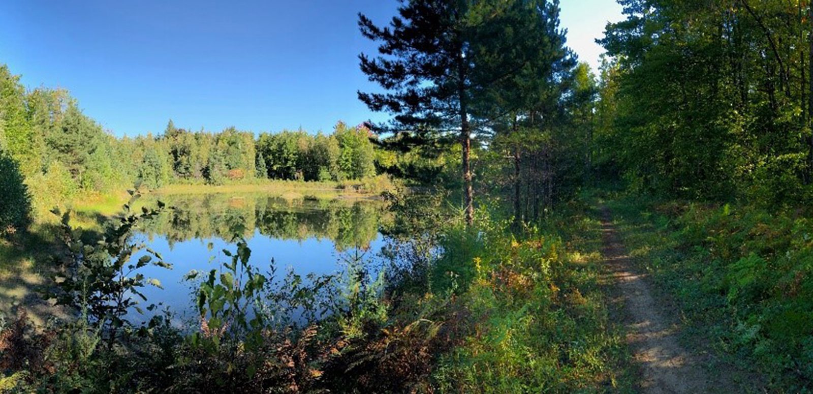 AFMO | Prescott & Russel